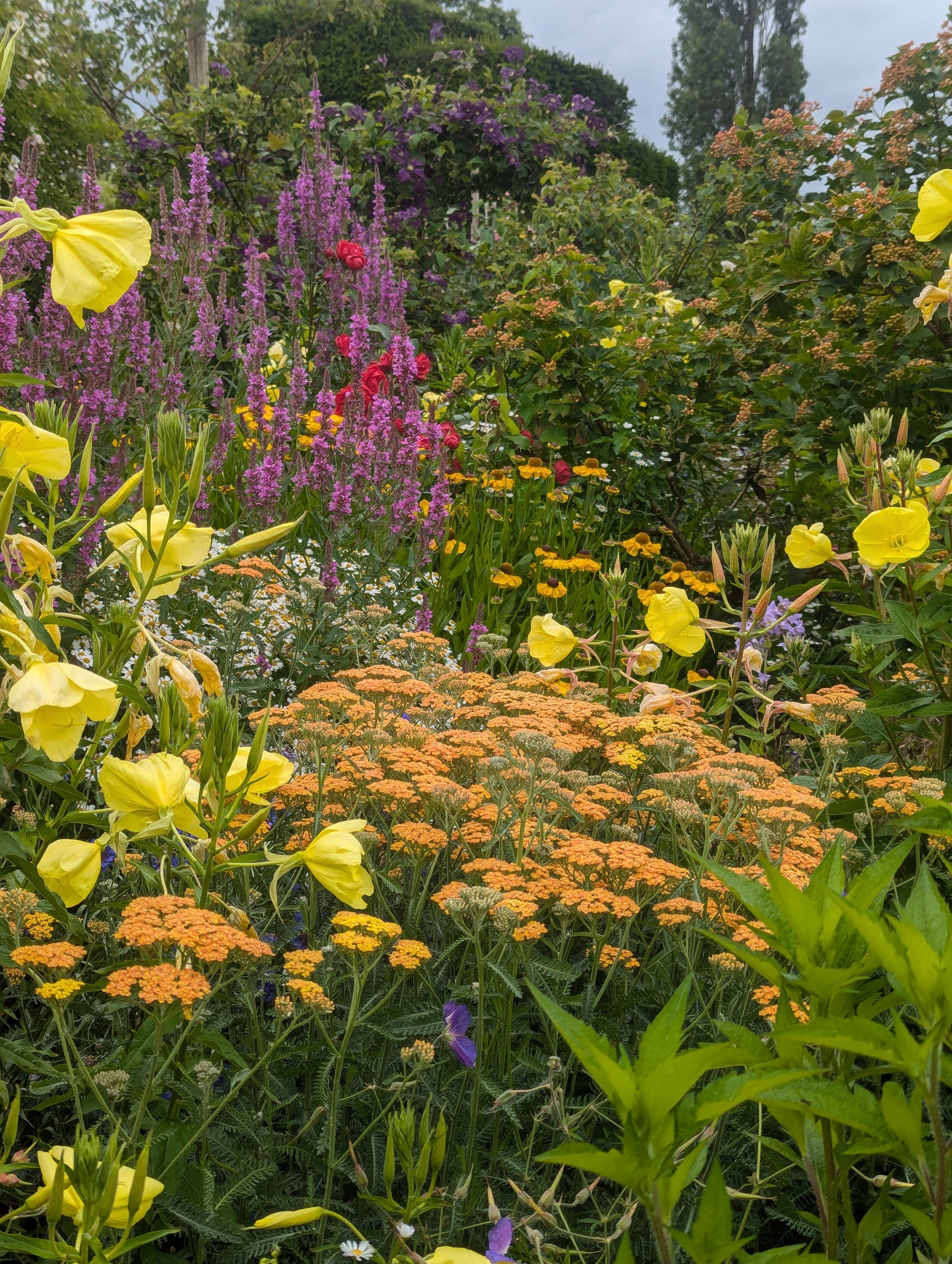 Great Dixter House and Gardens – Great Dixter House and Gardens