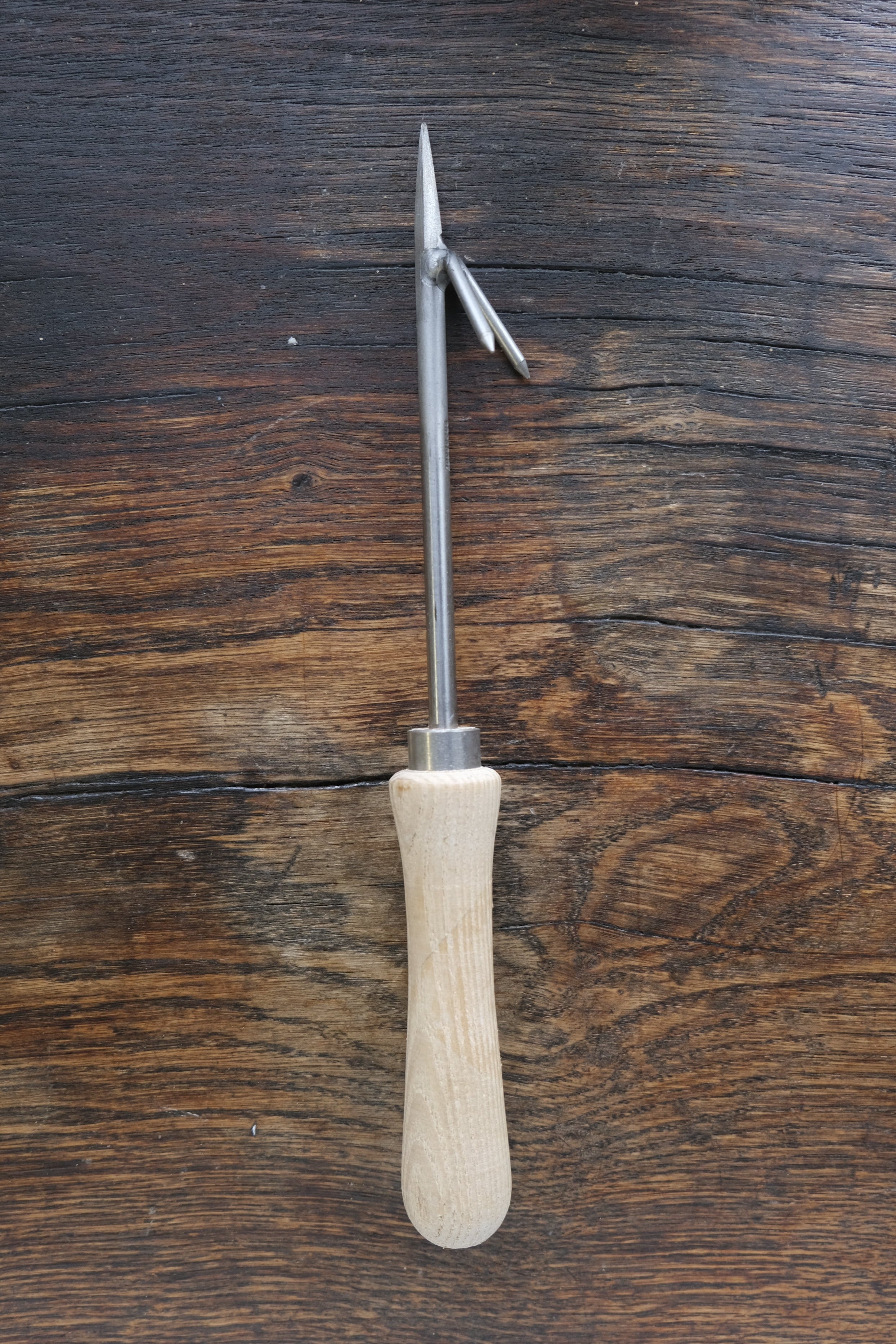 Wrotter – Great Dixter House and Gardens